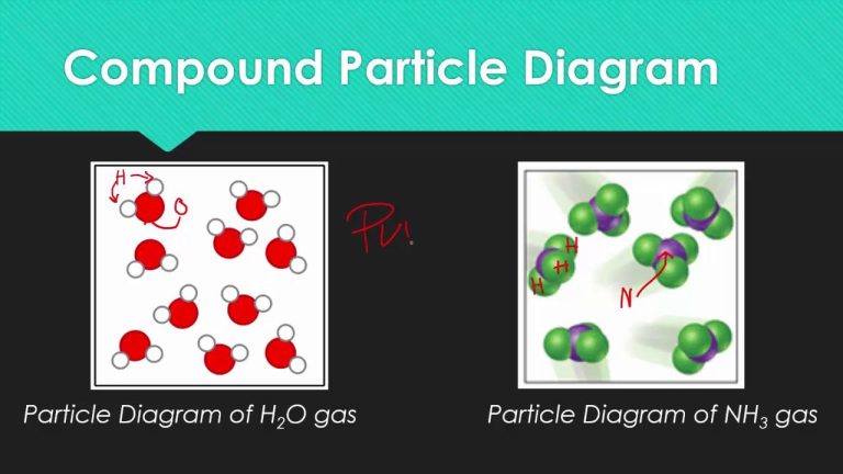 Understanding What Is A Particle Diagram: Explained - Xclusive Base