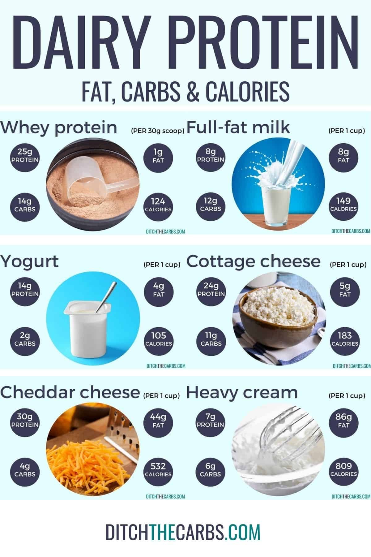 Comparing Milk Proteins: What Type Has The Most Protein – Xclusive Base